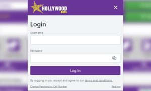 Hollywoodbets Mobile Login - How to Access Your Account - Betting Babes