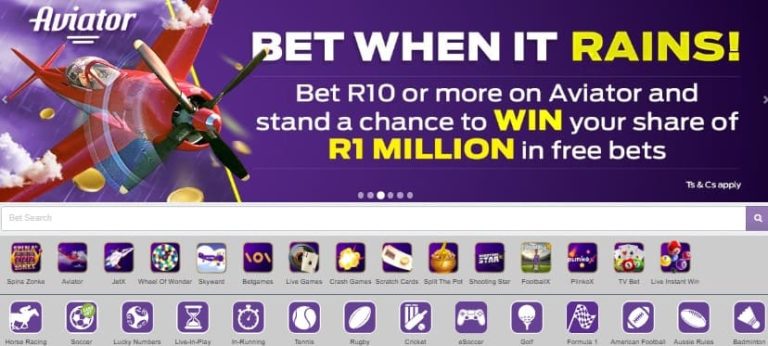Hollywoodbets Mobile Login - How to Access Your Account - Betting Babes